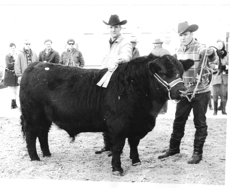 Regenerative Agriculture and Our Story | Felton Angus Beef - Personal ...